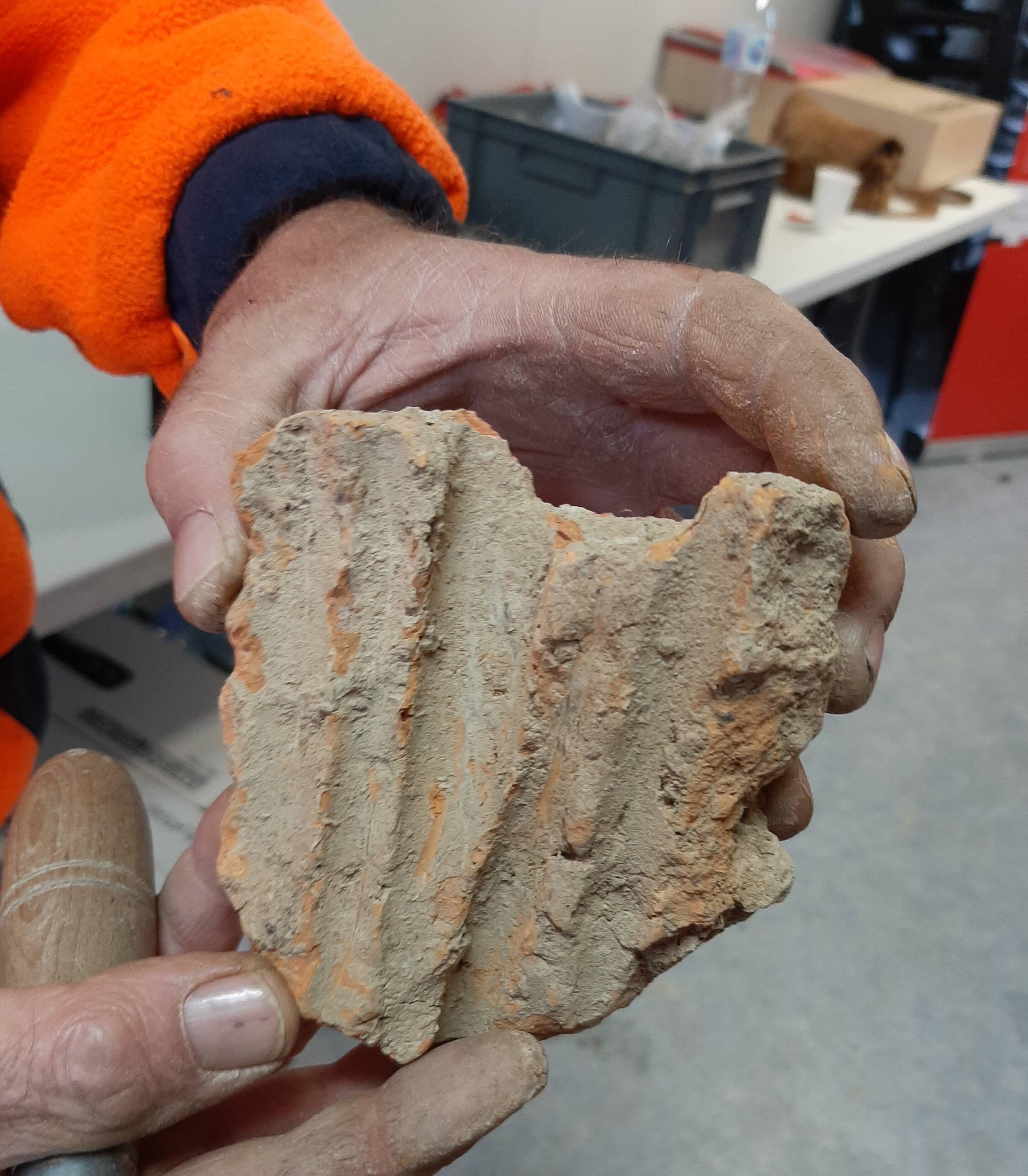 Une ferme gauloise mise au jour à Pipriac (Ille-et-Vilaine) | Ministère ...