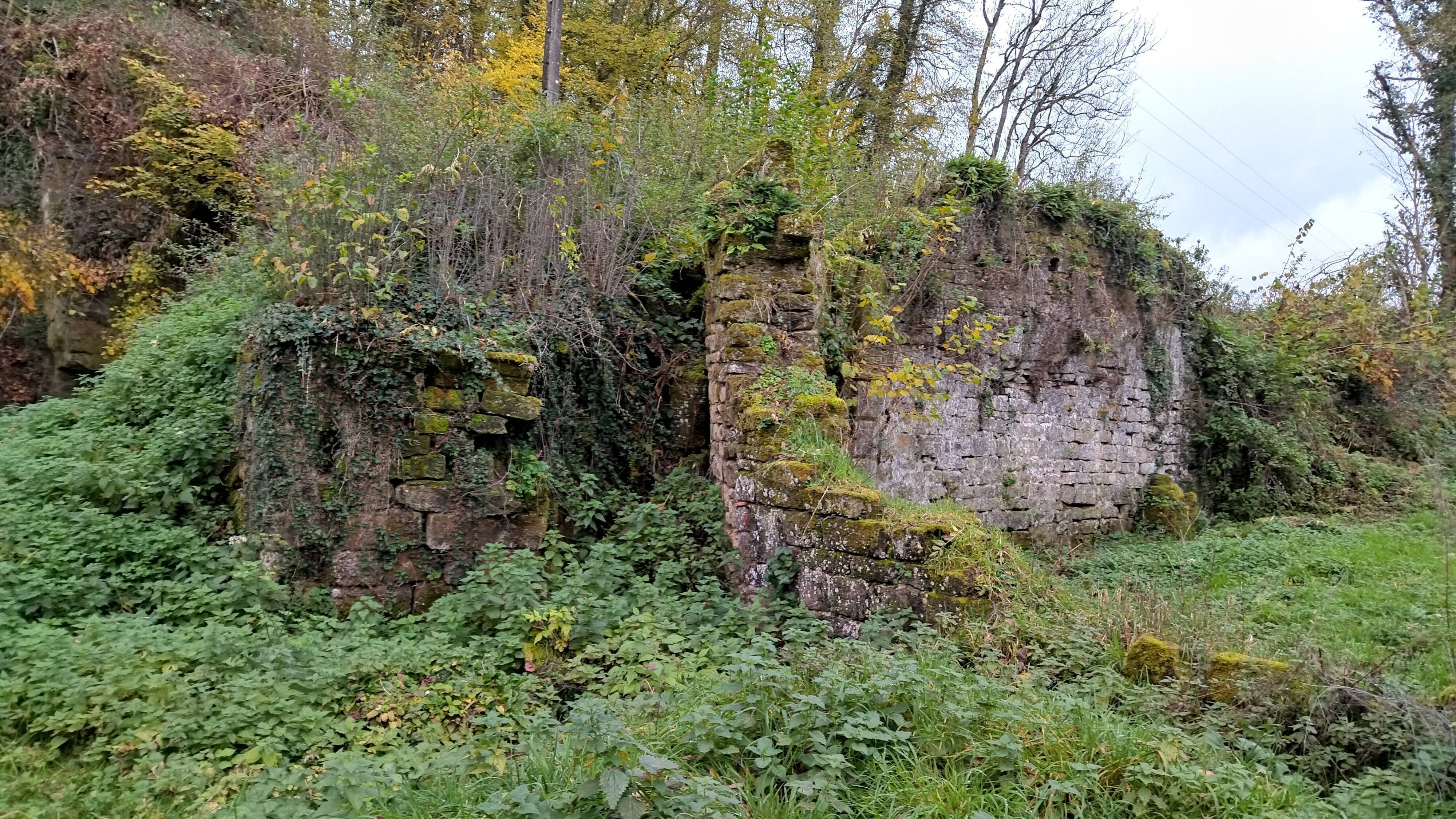 L'association REMPART expérimente un chantier de bénévoles en régie ...