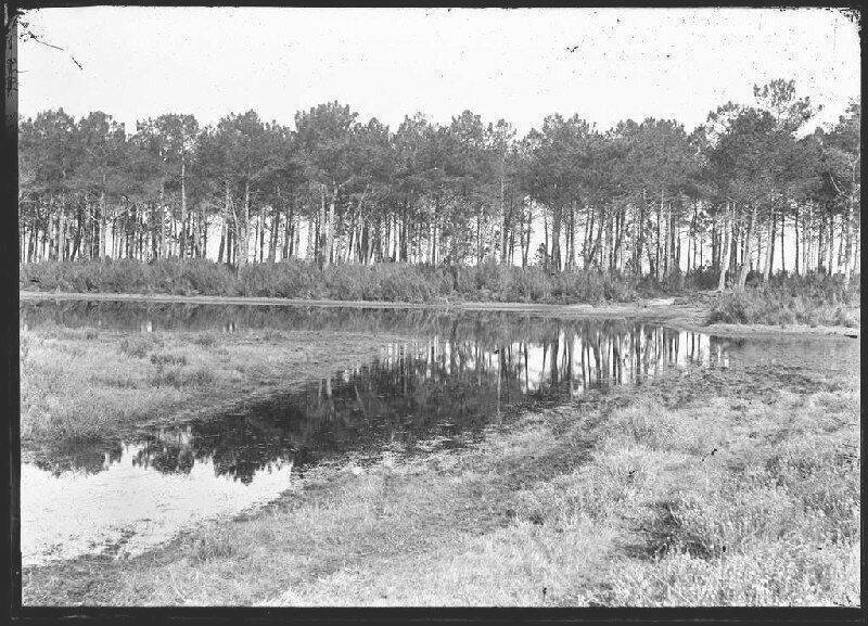 Félix Arnaudin et la Grande-Lande | Ministère de la Culture