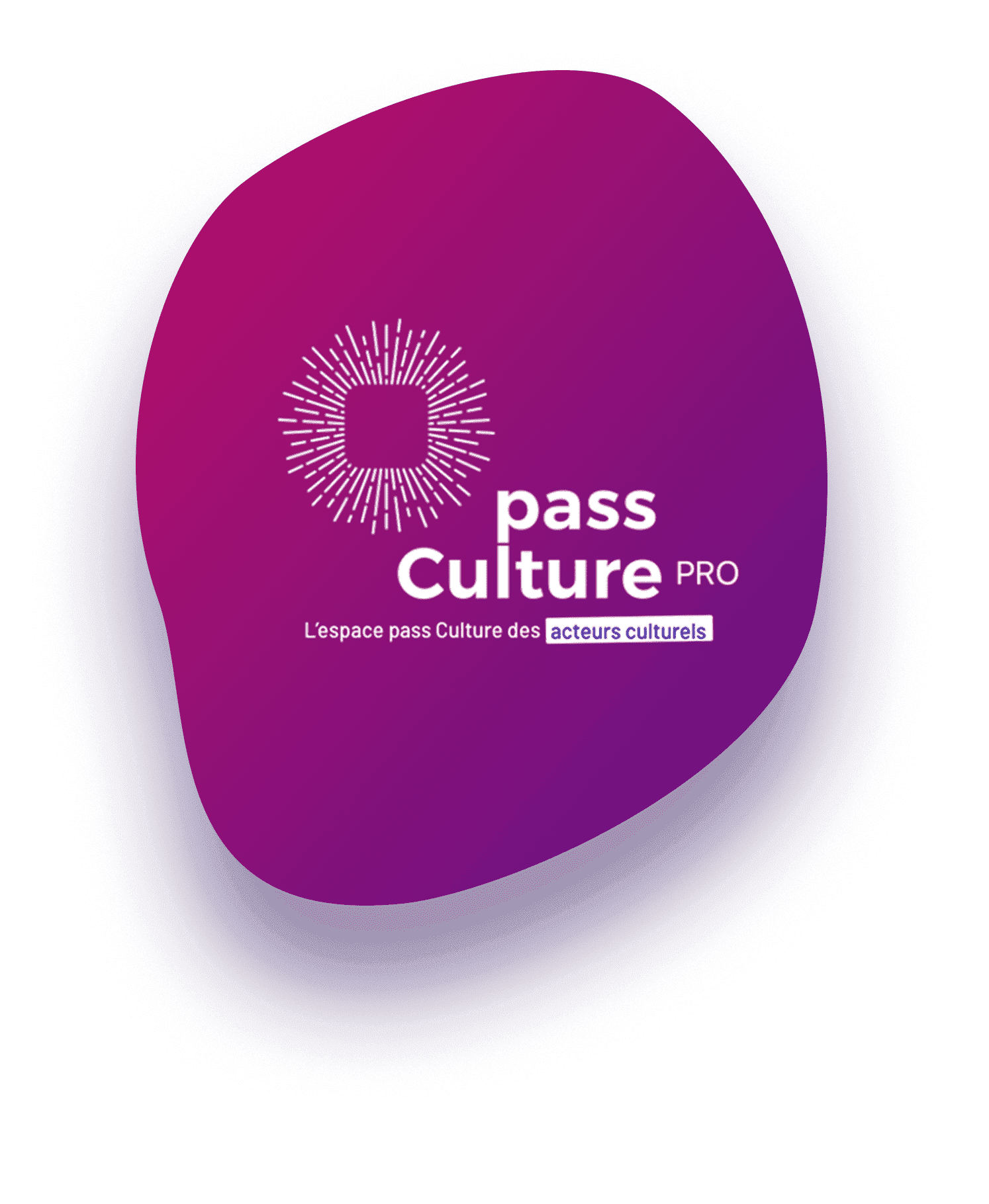 Le pass Culture s'ouvre en Martinique aux acteurs culturels | Ministère ...