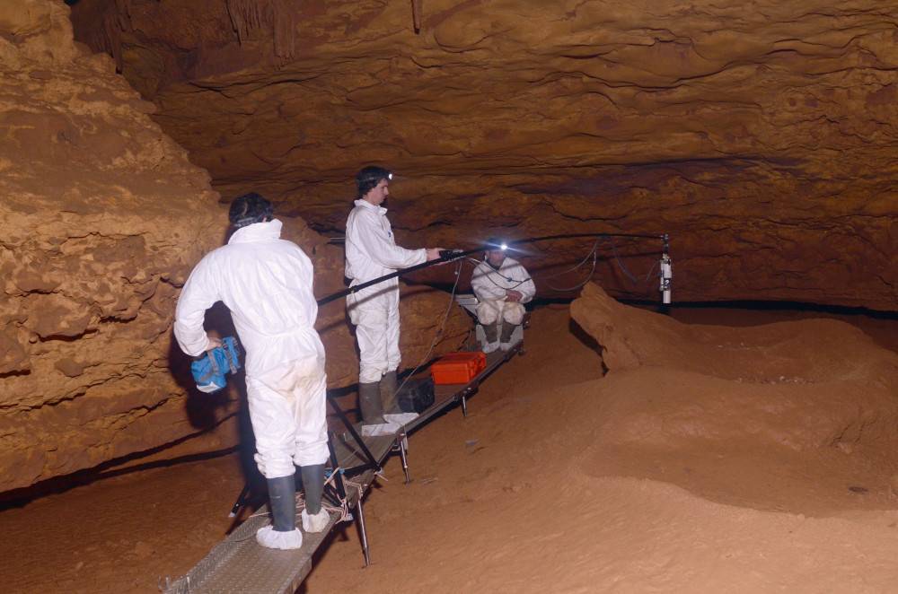 Les trésors archéologiques de la grotte de Cussac dévoilés | Ministère ...