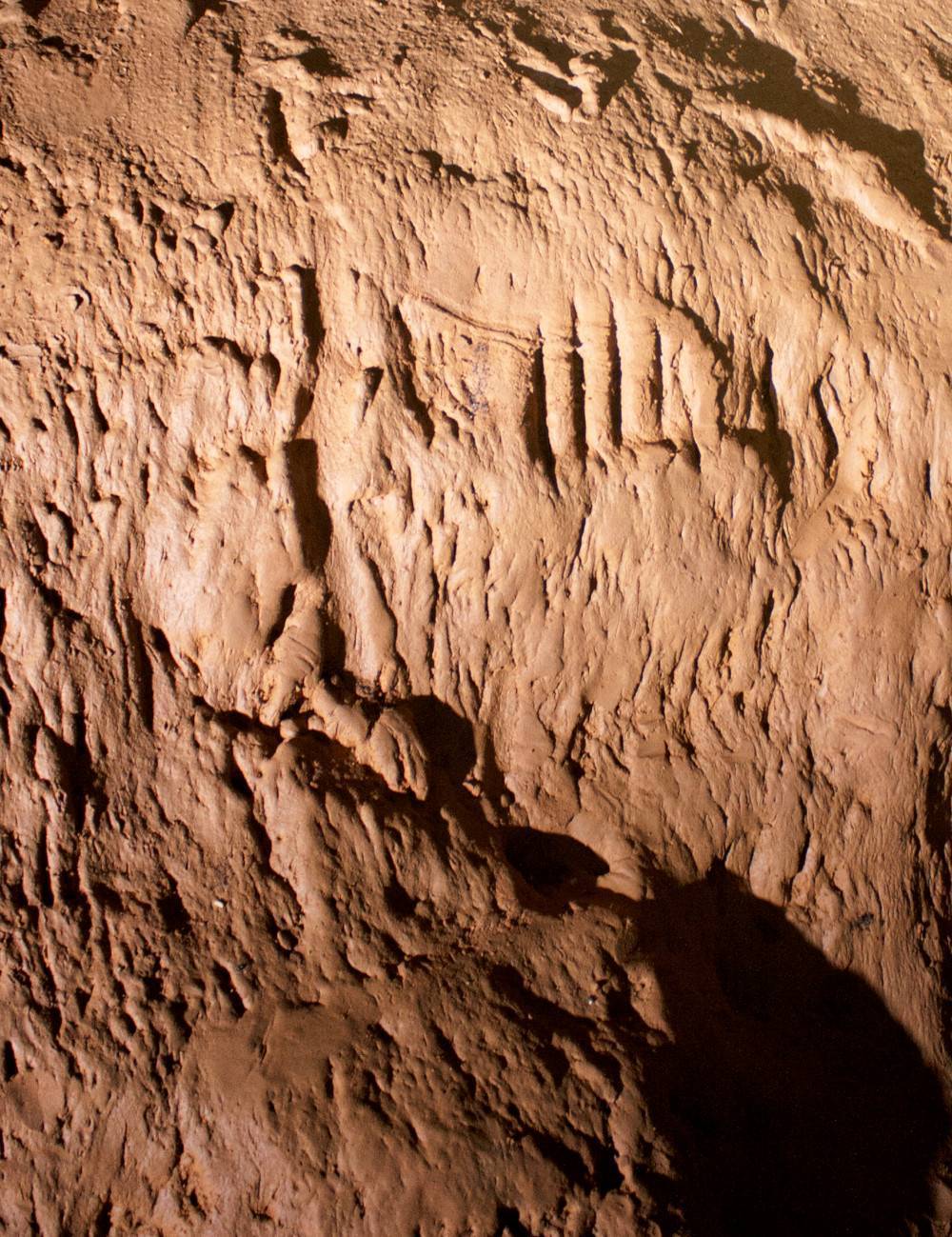 Les trésors archéologiques de la grotte de Cussac dévoilés | Ministère ...
