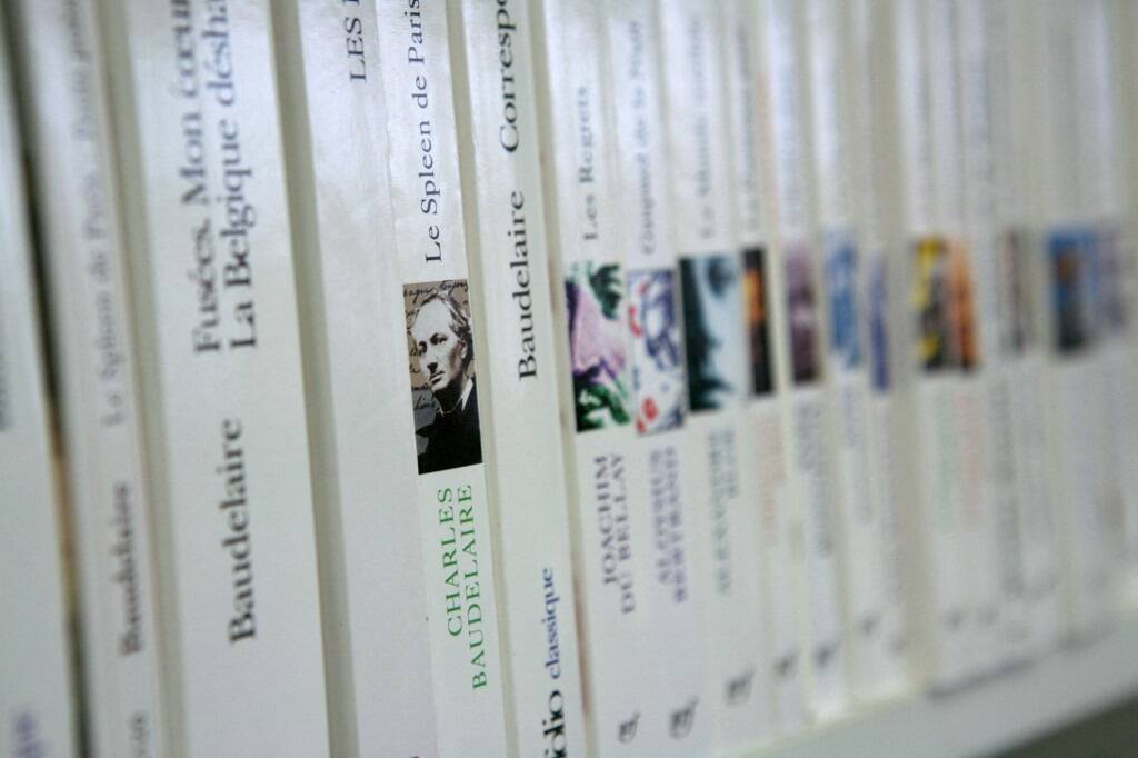 Spécial prix unique du livre : un débat passionné pour une loi votée à ...