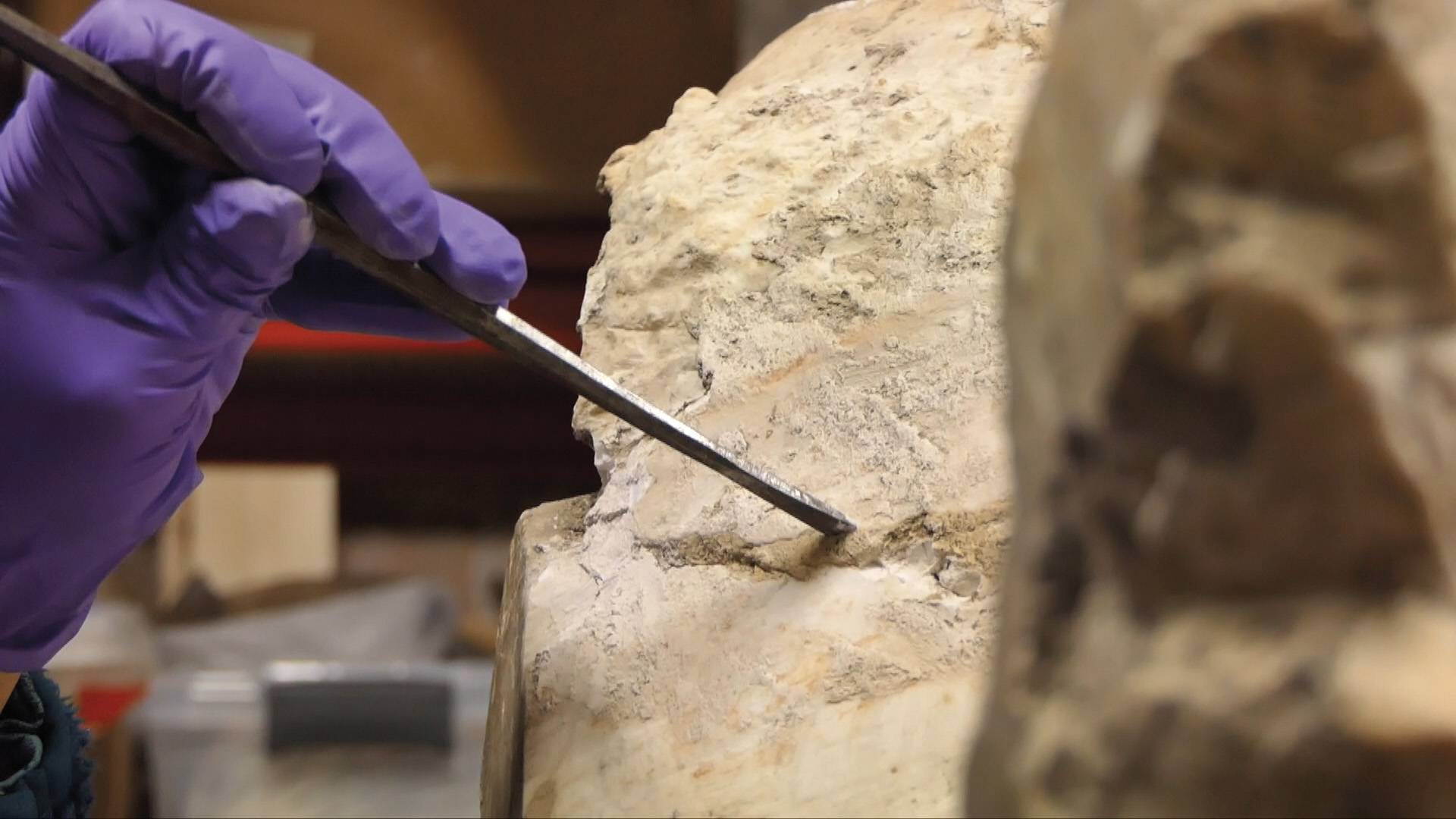 La Pietà de Conrad Meit | Ministère de la Culture