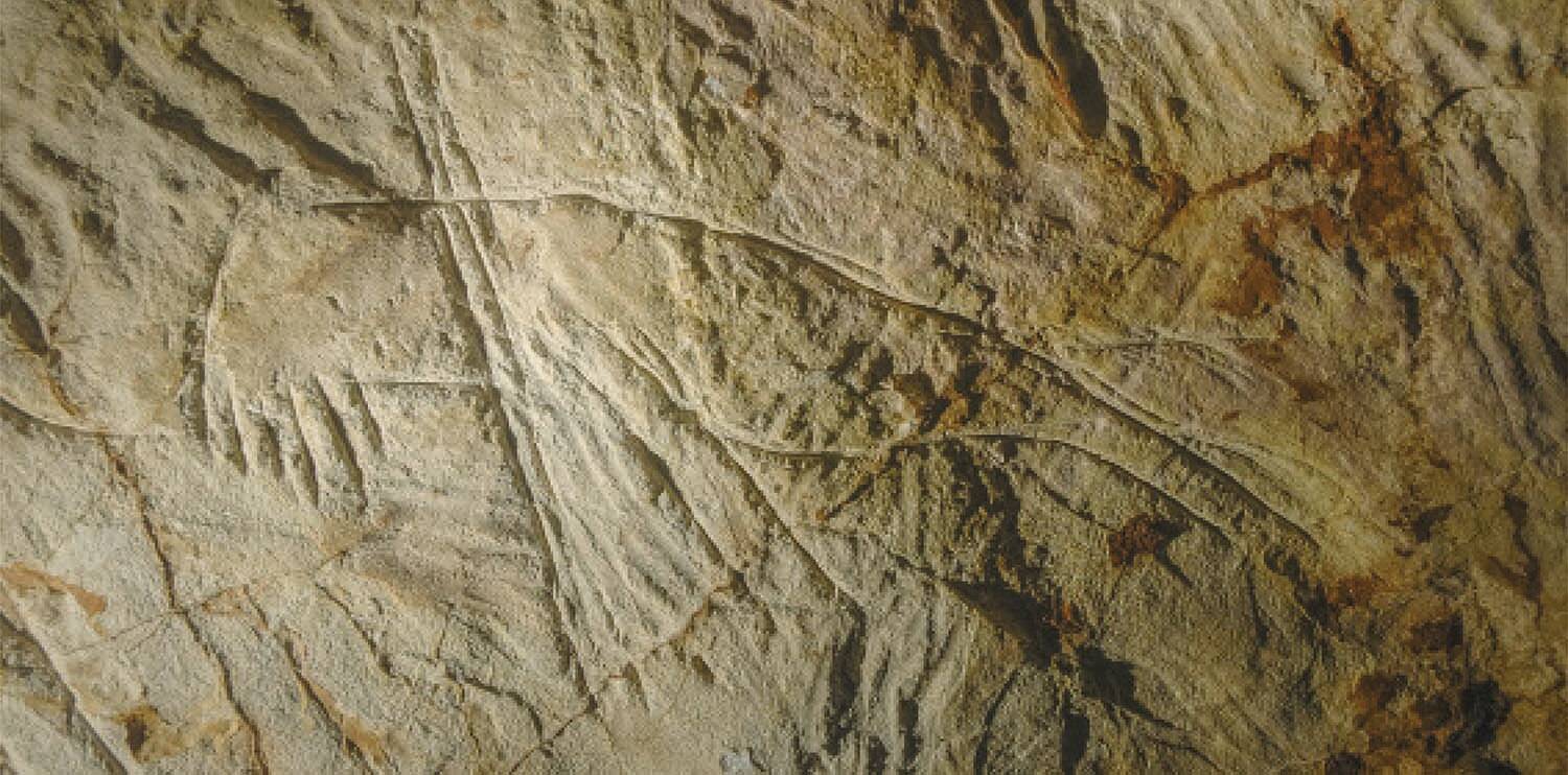 La grotte Cosquer, 30 années de recherches | Ministère de la Culture