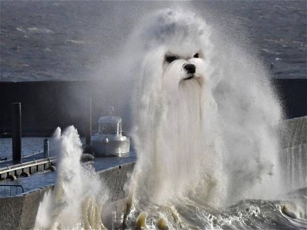 Réseau LUX #1 : un lieu éphémère à Paris célèbre la photographie ...