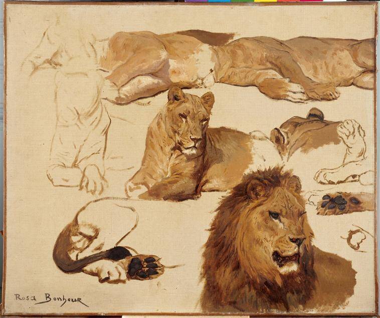 Bonheur Rosa | Ministère de la Culture